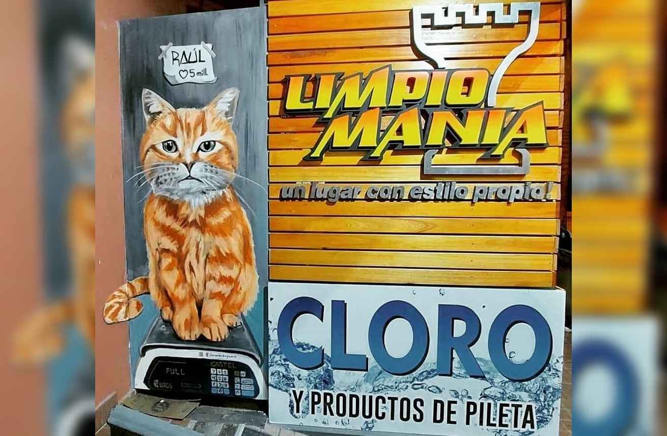 Le hicieron un mural a Raúl, el gato "más famoso" de Carlos Paz - Soy ...